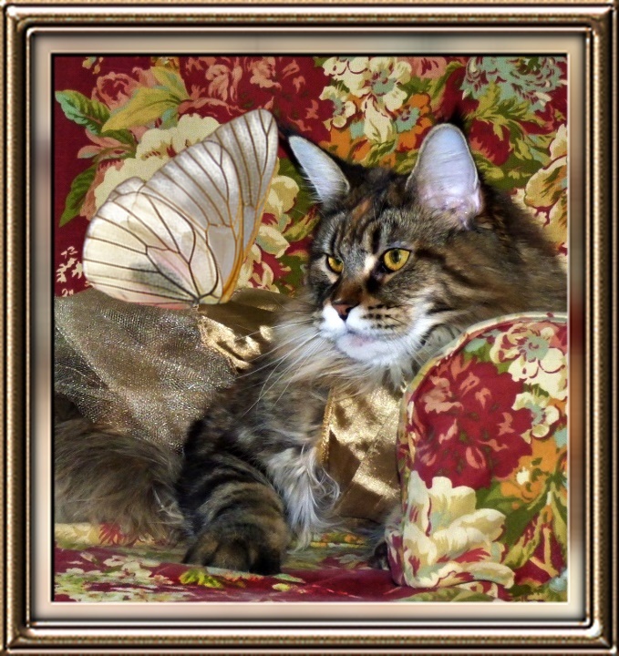 ODaniGirl: IT'S O-FISH-ALL: DANI TURNS ONE YEAR OLD TODAY!