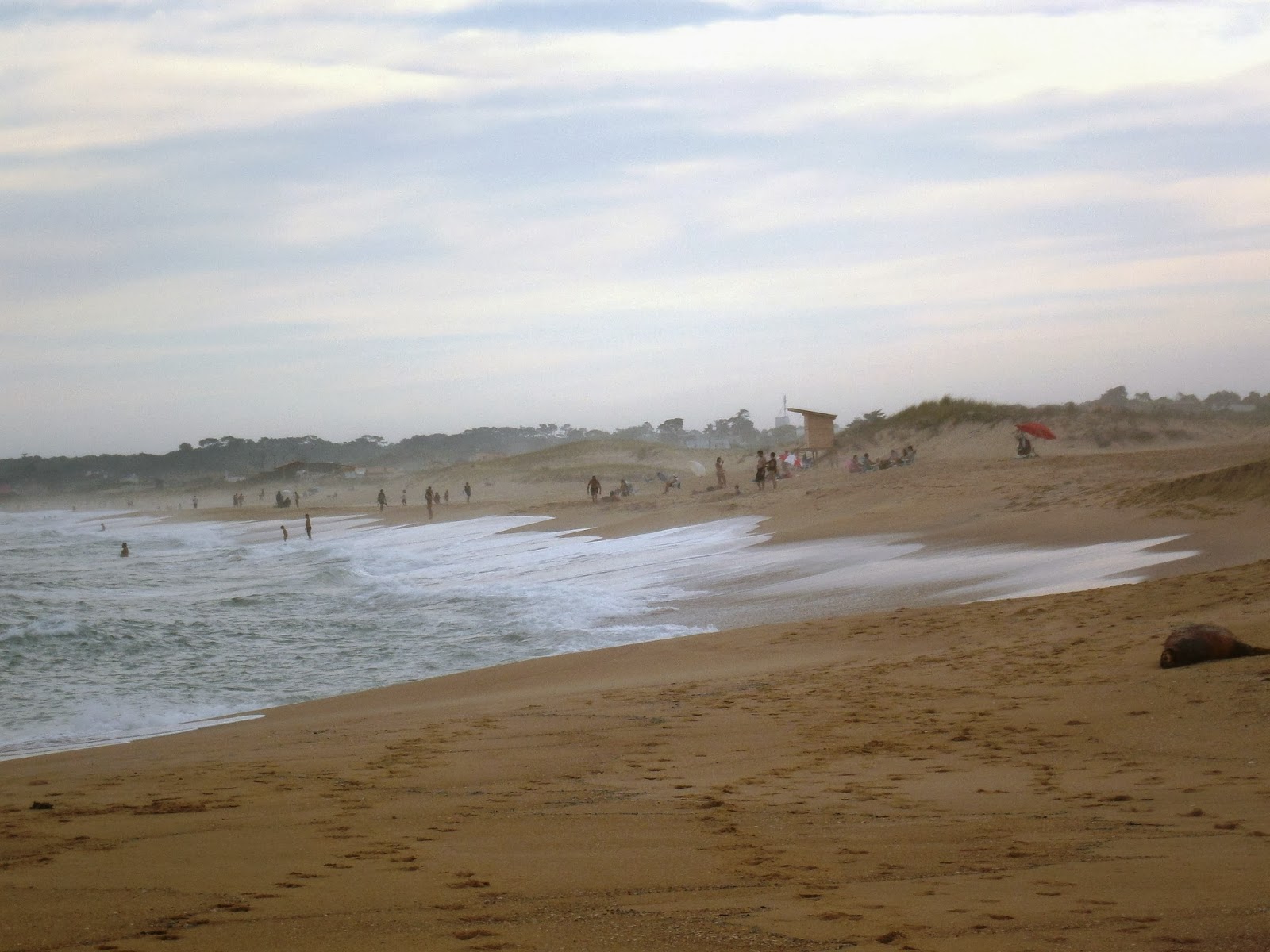 VILLA CANELA: Ubicación: PLAYA DE ARACHANIA- Rocha- R.O.U.