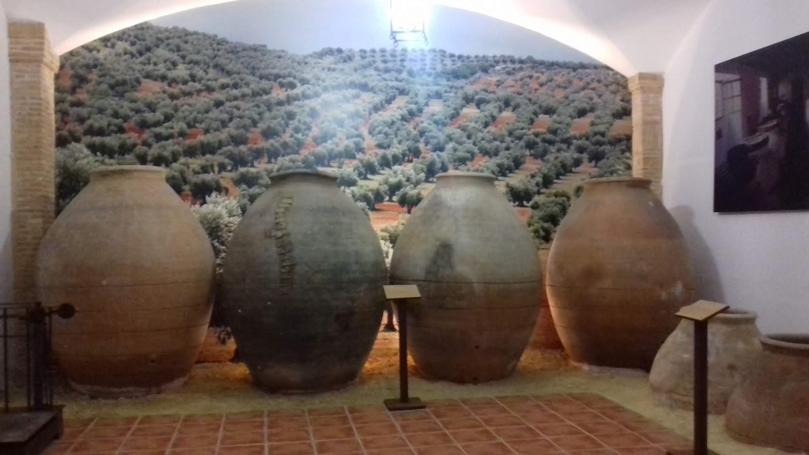 Los viernes no hay clase: Visitamos una almazara