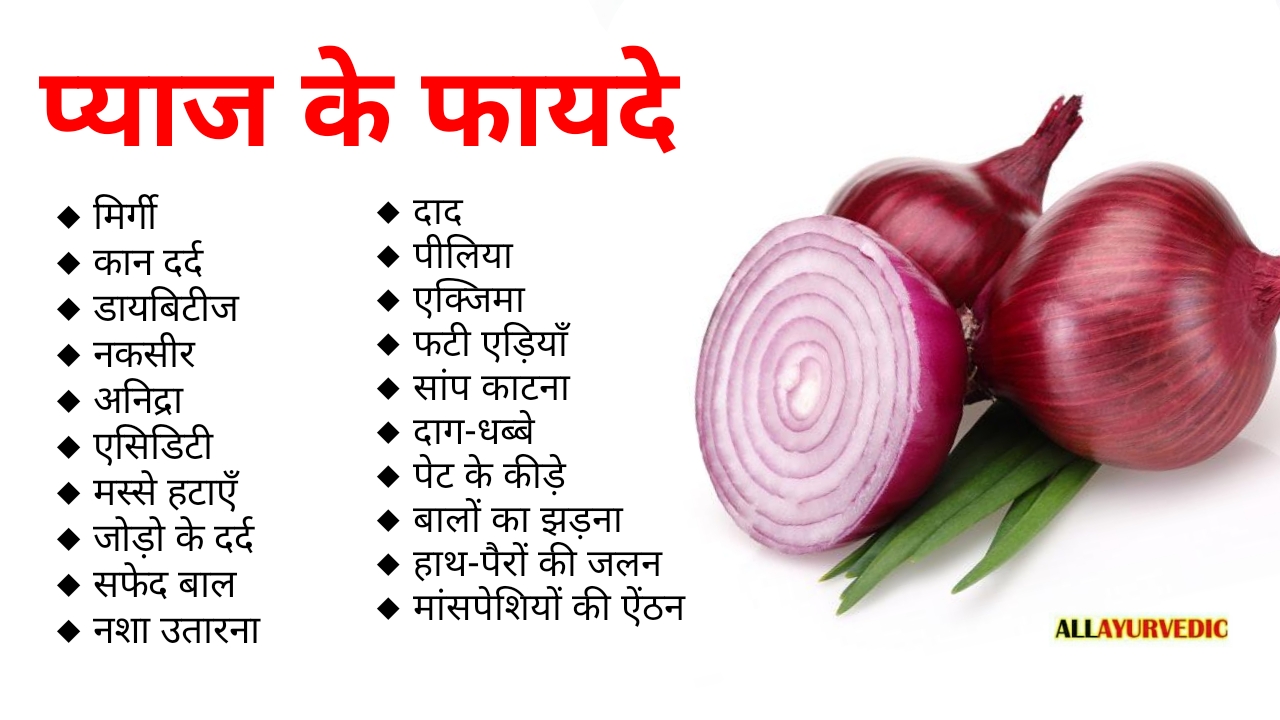 प्याज के फायदे - All Ayurvedic