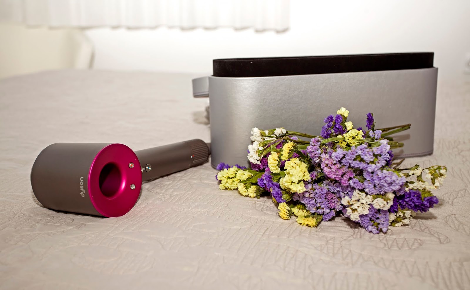 San Sebastián con Dyson | stellawantstodie