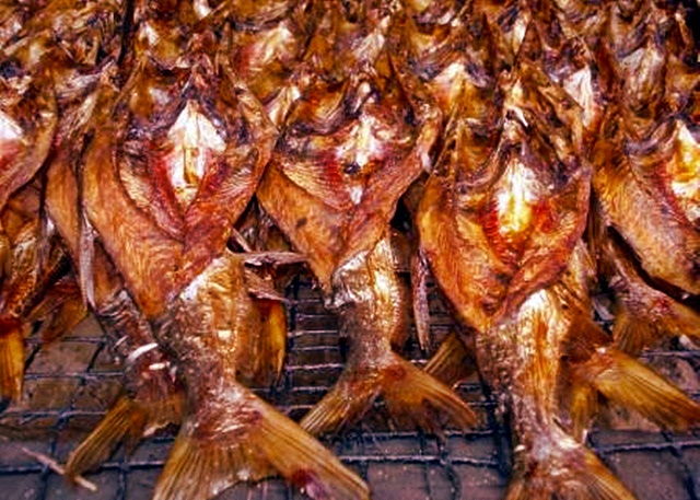 Ancaman Dibalik Makanan Asap ~ EDELWEIS