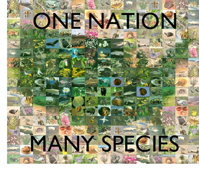 I Heart Biology ;): What Type of Species Is It?