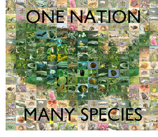 I Heart Biology ;): What Type of Species Is It?