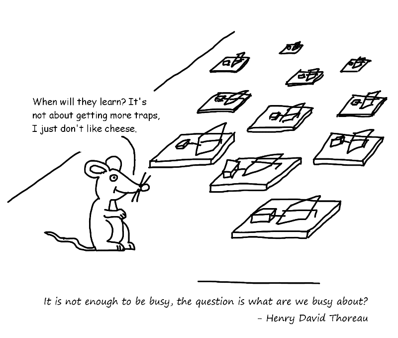 Test Automation Funny