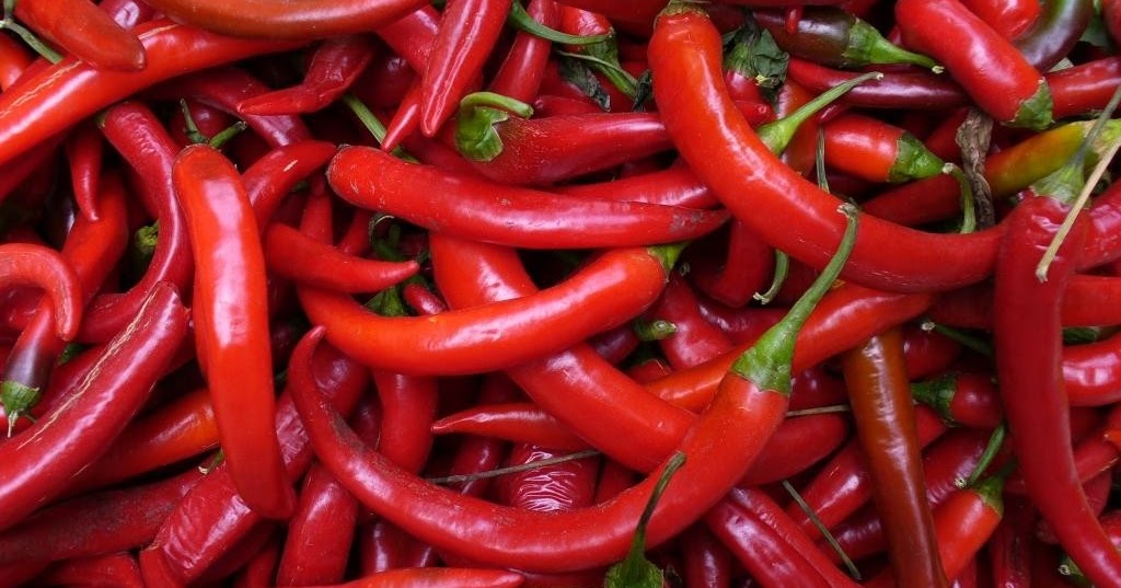 Tudo o que você precisa saber sobre a pimenta