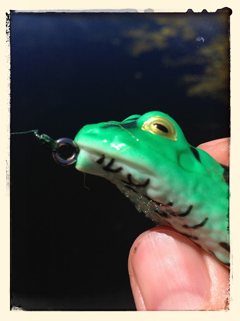 Bass Junkies Frog Pond: Bass Pro Shops XPS Frog Review