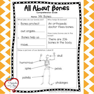 From September to (Mrs.) May: No "BONES" About It...We Love Science!