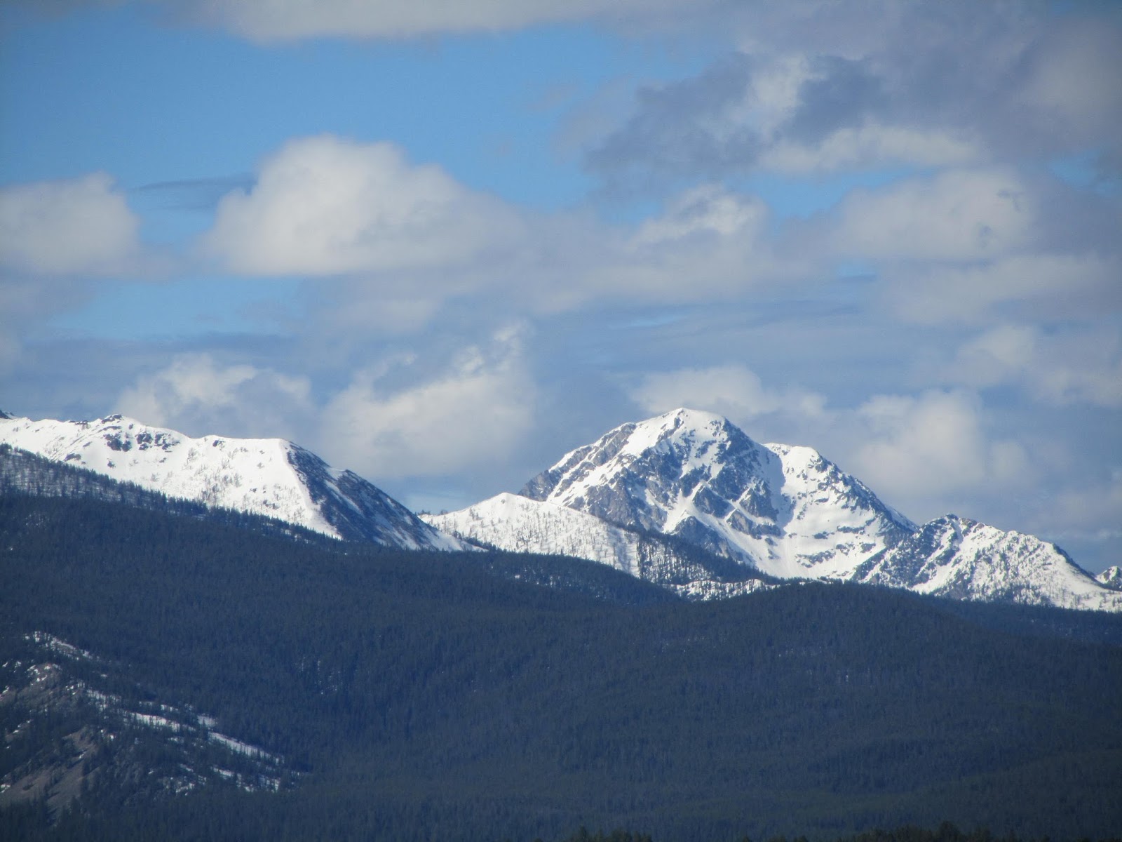 Tomcat's Outdoor Adventures: Anaconda-Pintler Wilderness Climb: Little ...