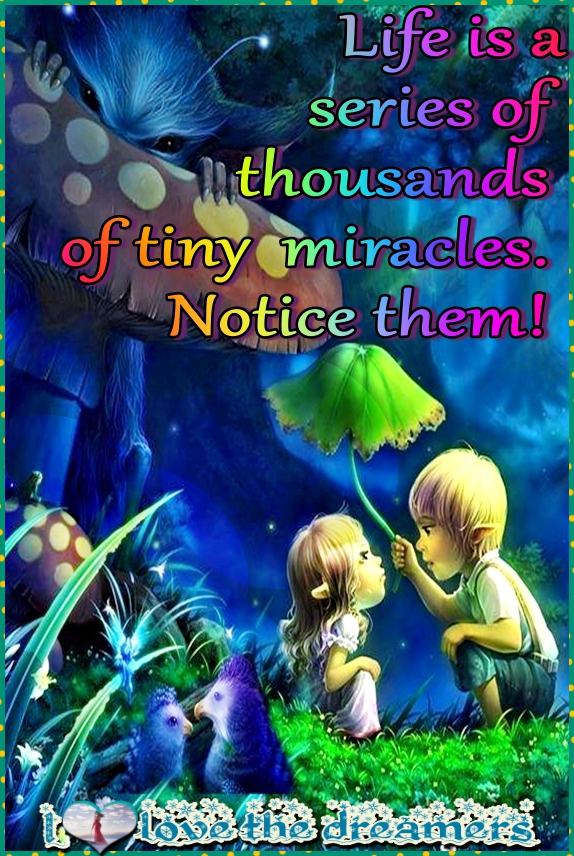 Life is a series of thousands of tiny miracles. Notice them! - picture