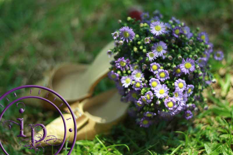 Ilham Polaris: Bunga Pegang (Hand bouquet using fresh flower)