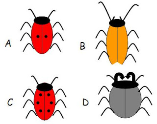 Biology Revision Guide: Getting there & Dichotomous Keys