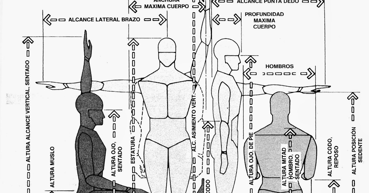 Ergonomia / EUCD: Nombres de las Dimensiones Humanas (Julius Panero)