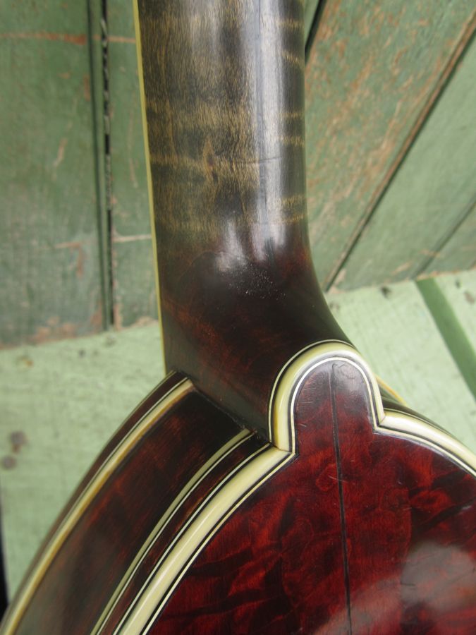 c.1915 Weymann Style 50 Mandolute Mandolin