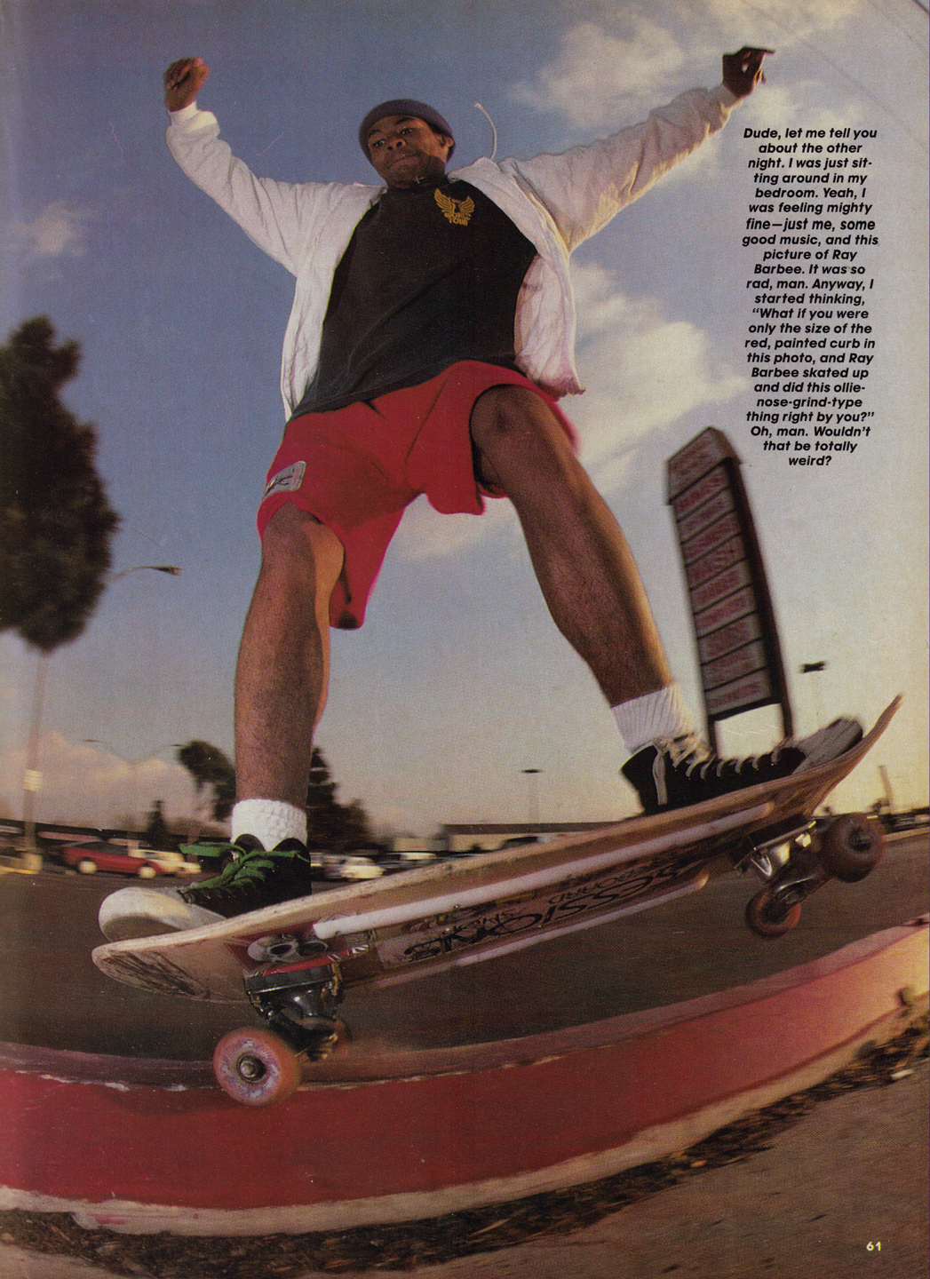 Ray Barbee Interview