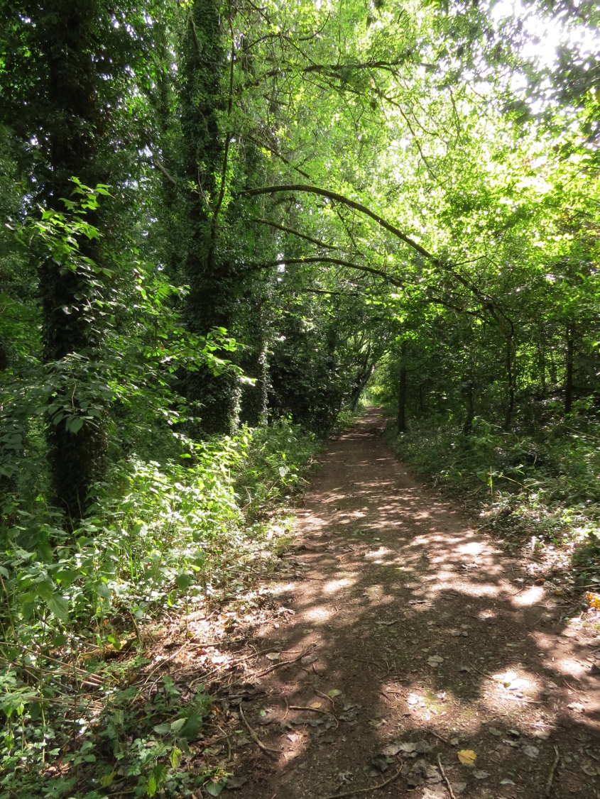 Walking Dorset's gridsquares: Frome Valley Trail - Part 2 - Maiden ...
