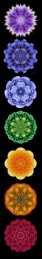 Mind Body Spirit Odyssey: The 3 Dantiens and the Chakra System ...