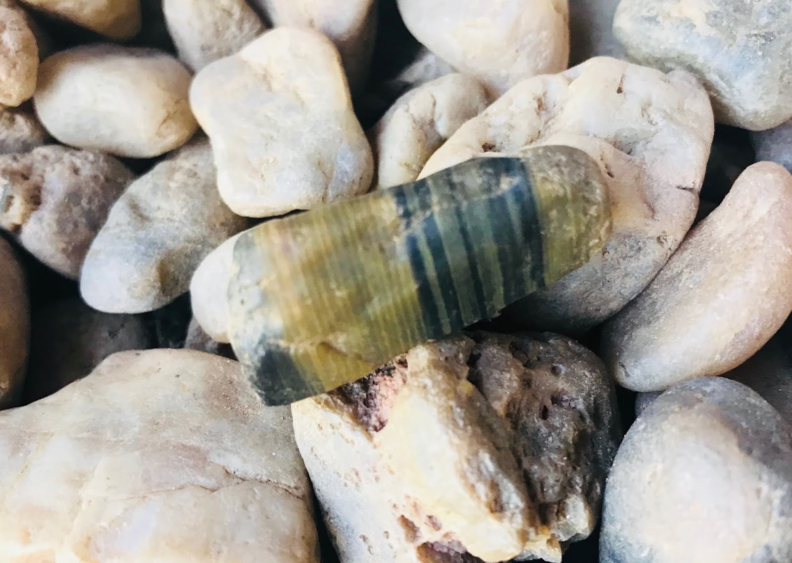 Minerais, Pedras e Rochas - Fox Press™