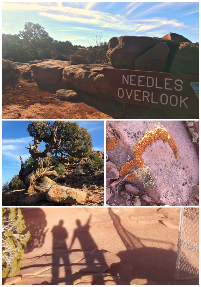 Needles overlook