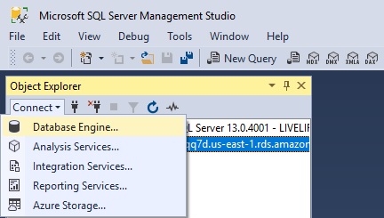 How To Connect To Amazon RDS SQL Server Database Instance Using SQL ...
