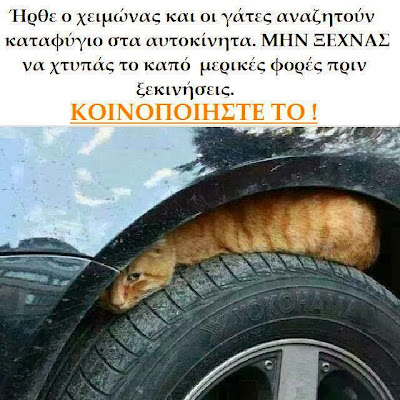 Μη ξεχνάς να χτυπάς το καπό - OneMagazino