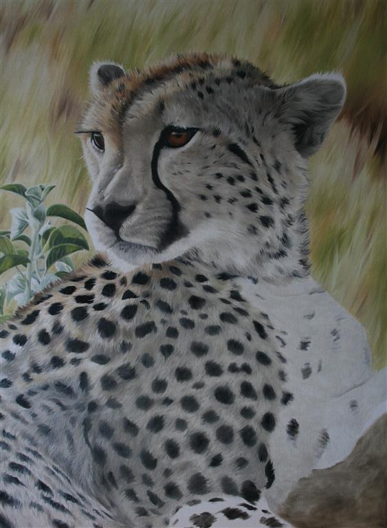 Clive Meredith Wildlife Art: first coat of oils complete