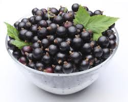 Đem od crne ribizle