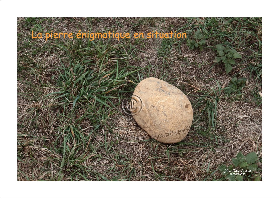 Vestiges préhistorique Meule et molette Article 2018 074