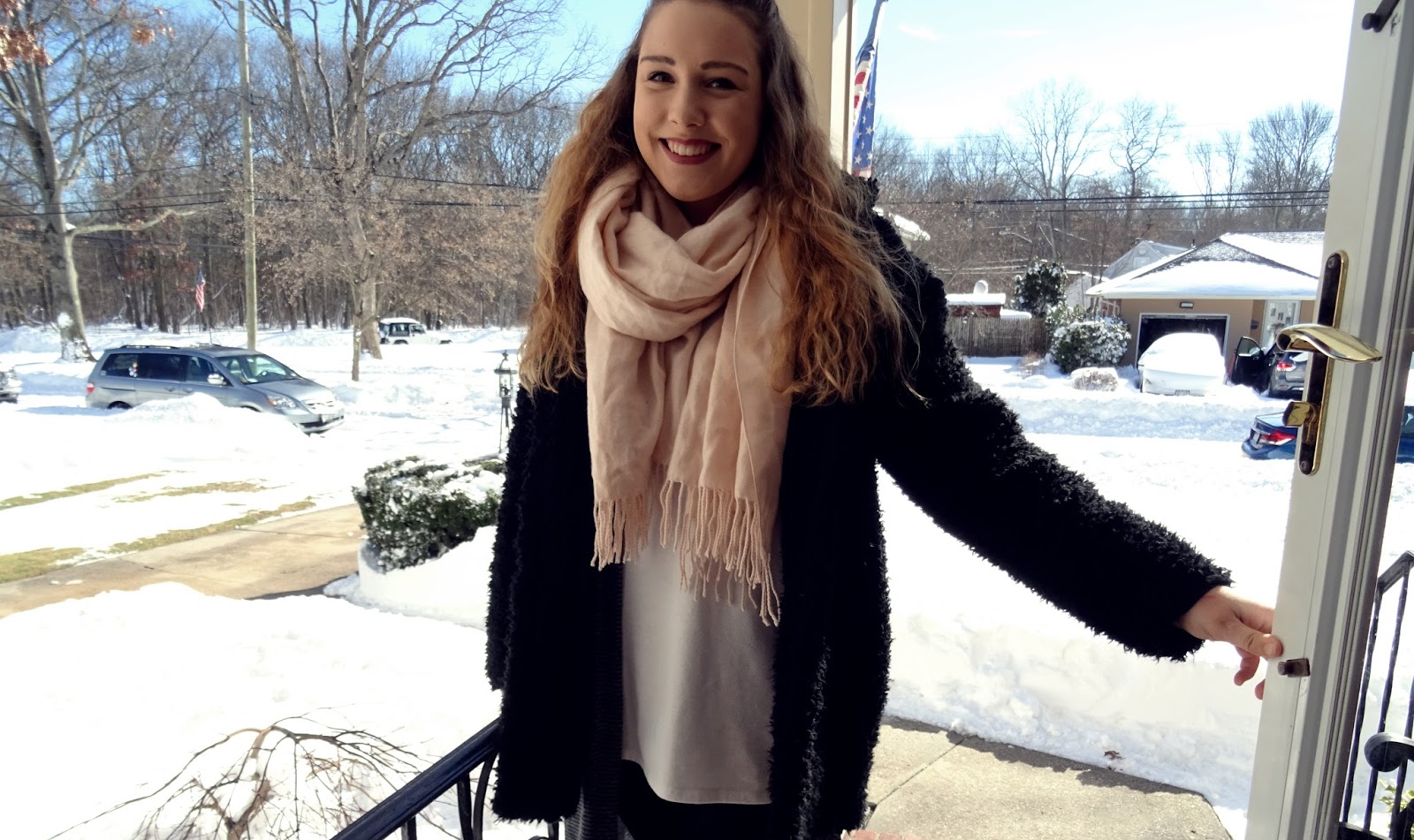 Yanike in den USA: Januar 2016