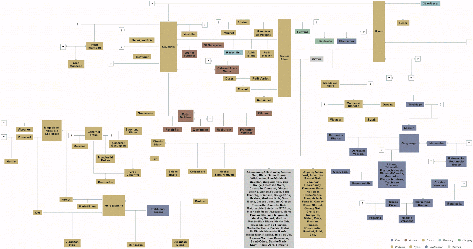 The Genealogical World of Phylogenetic Networks: June 2016