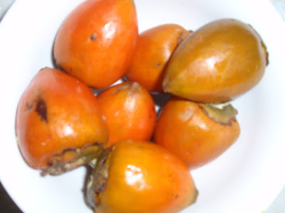 My Life in Gardens: Adventures With Fruit