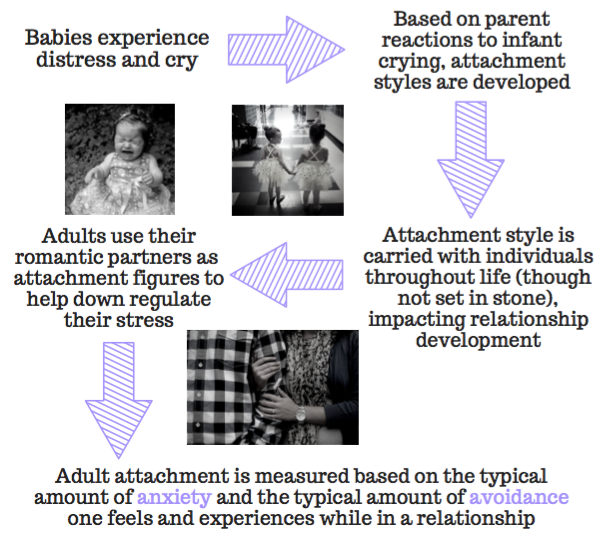 Understanding Adult Attachment: How Anxiety and Avoidance Combine to ...