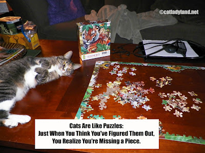 Catladyland: Cats are Funny: Cats: Puzzle Me That