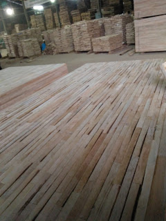 BARECORE INDONESIA: BARE CORE INDONESIA