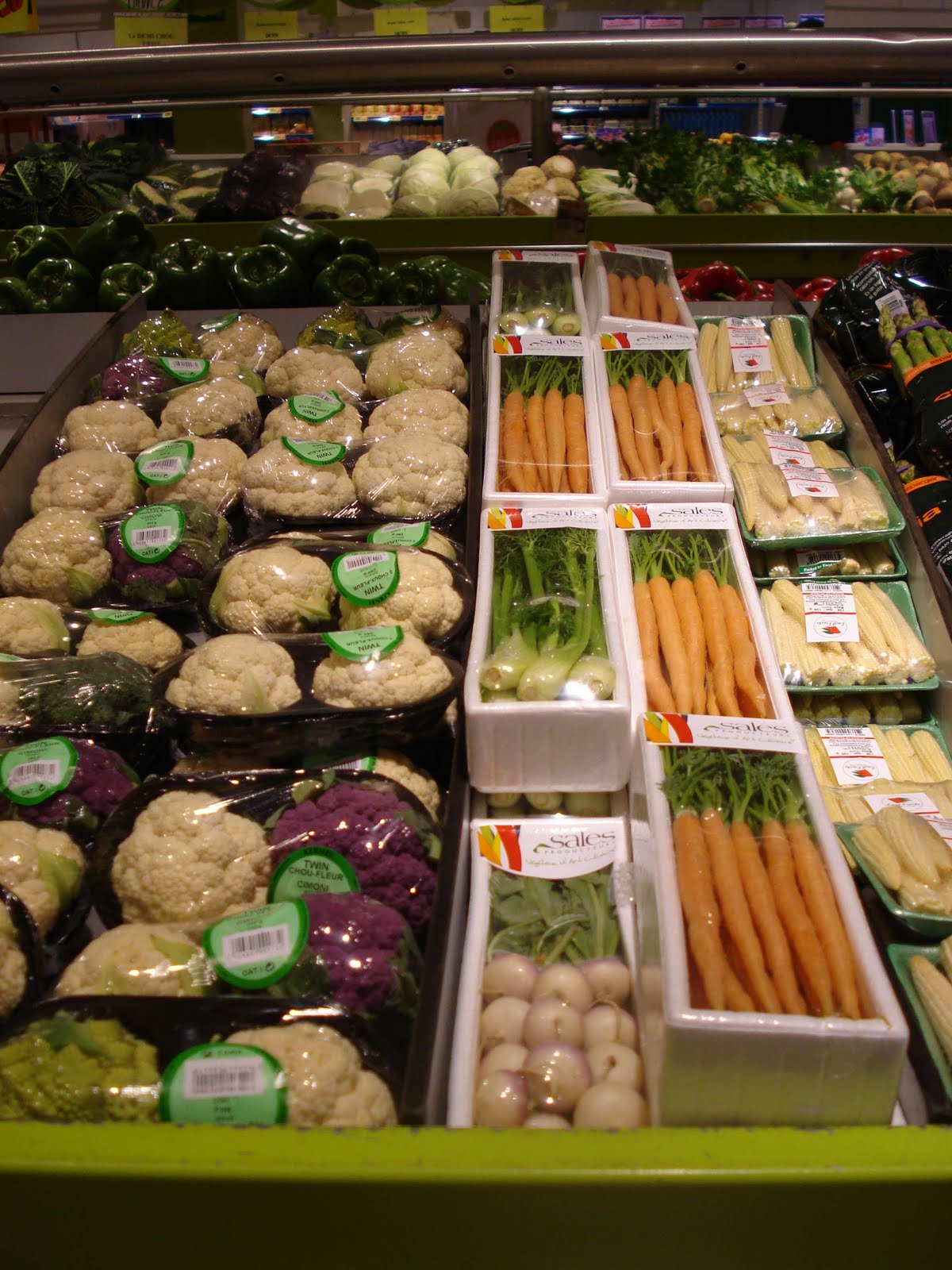 The Hewitts barging in France 2010 - 2017: Roanne - March to April