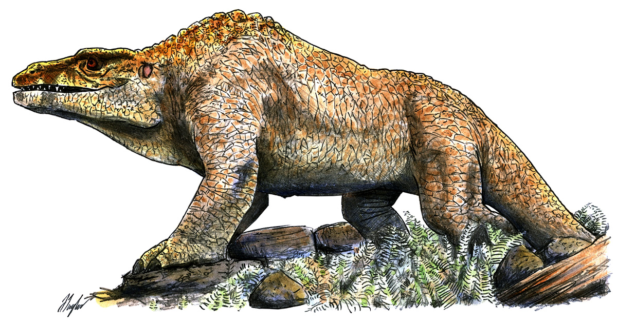 Love in the Time of Chasmosaurs: Meet the artist: Jed Taylor