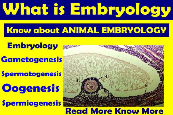 What is Embryology ? Embryology | Anjani Mishra