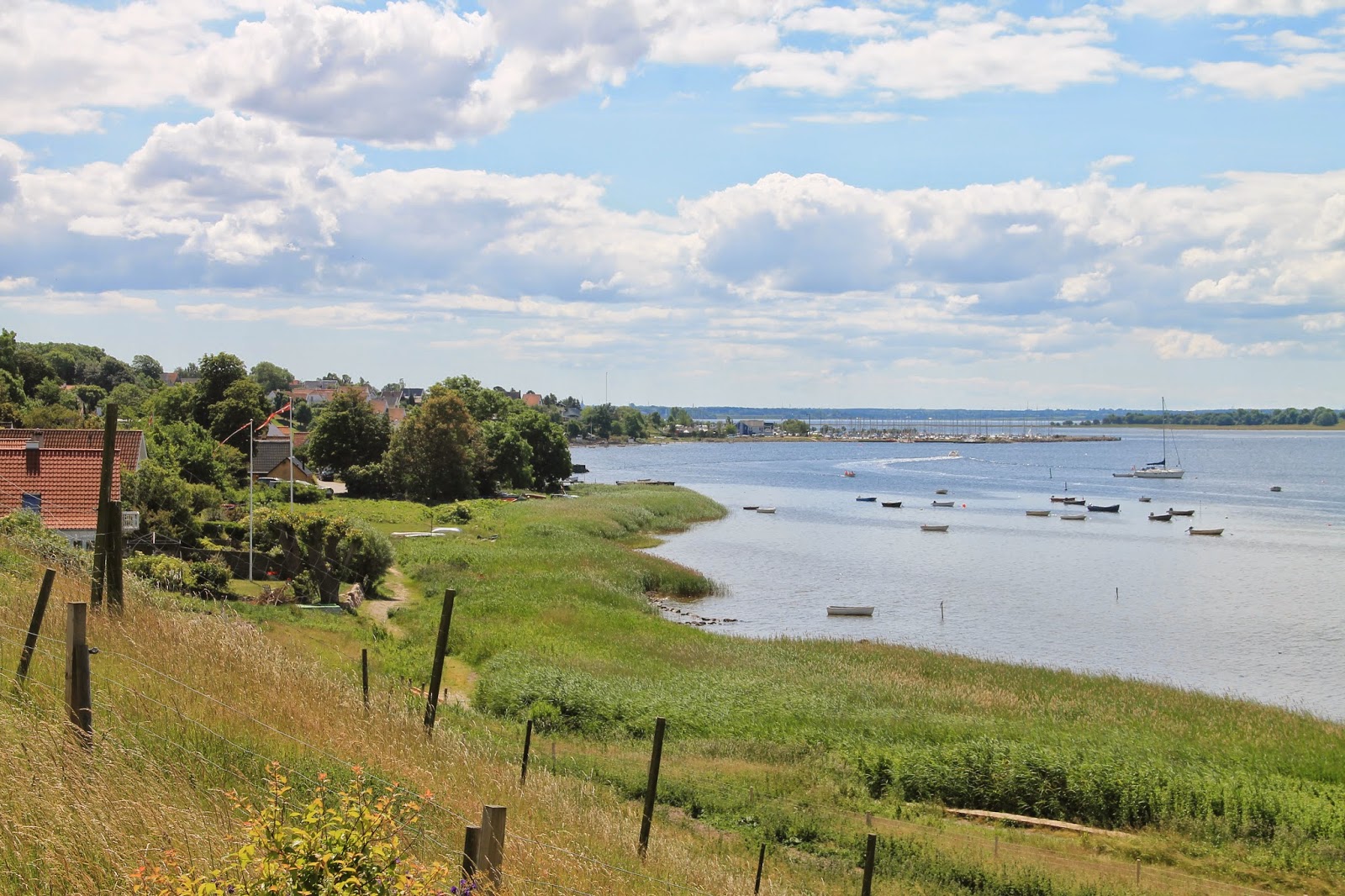 Vandringsløse Tidende: Lille Rørbæk Enge - Jyllinge