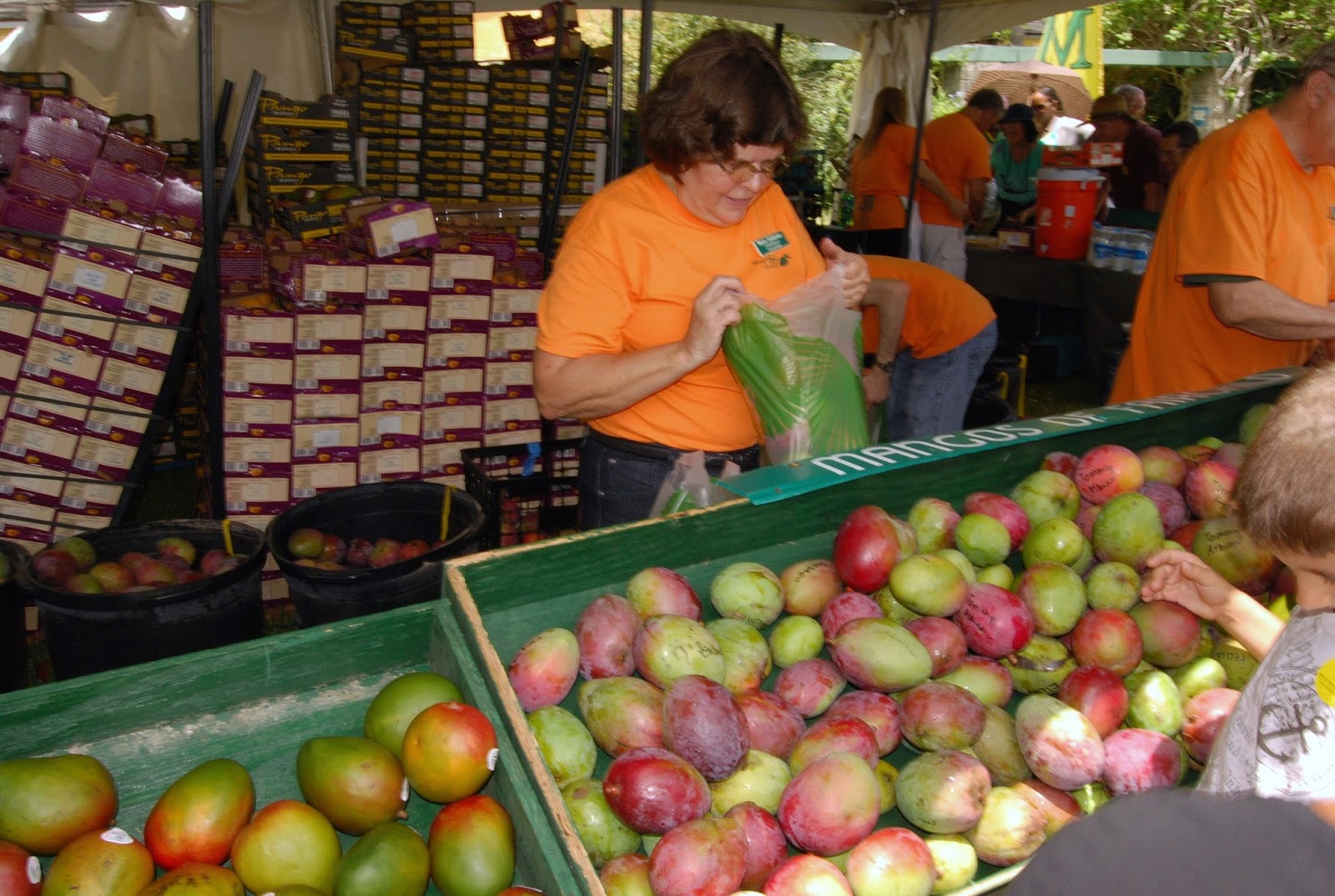 Helen A. Lockey: Mango Fest At Fairchild Gardens, Miami, Fla: Mexican ...