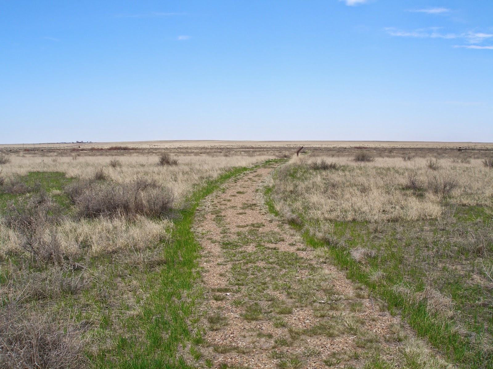 Comanche National Grasslands