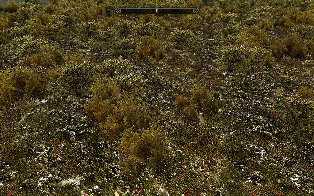 Hoddminir Mod Development: Skyrim - Image Library of Textures with 3D grass