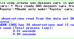 SAS and DataFlux Programming: Where statement