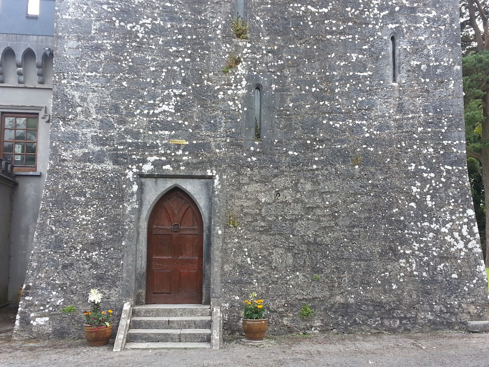 THE SPECKLED BIRD: BLACKWATER CASTLE, CASTLETOWNROCHE, CO.CORK - GUIDED ...