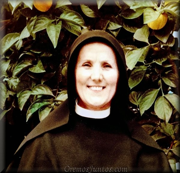 Vidas Santas: Beata María Rosa de Jesús Pellesi, Religiosa Franciscana