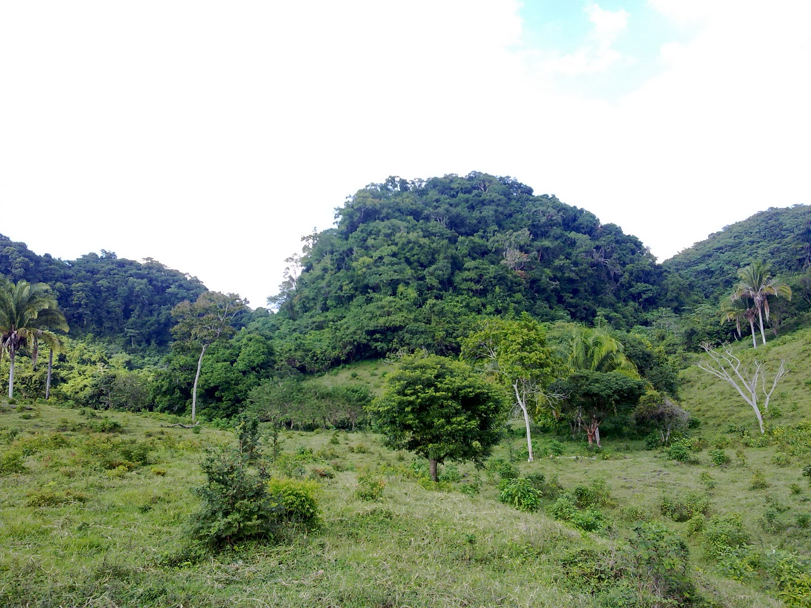 COMUNICANDO A PUEBLILLO Y EL LLANO PAPANTECO: El cerro el caracol ...