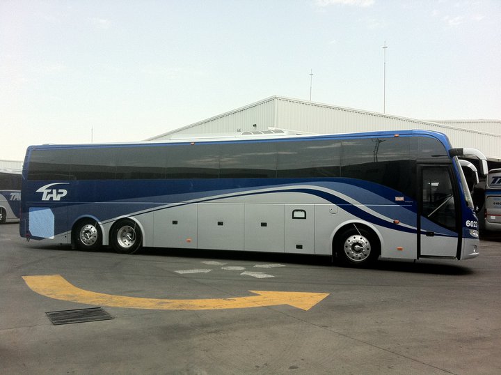 Transportes Publicos: Nuevos Autobuses TAP