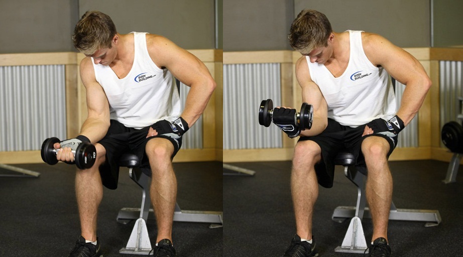 How To Build Monster Forearms