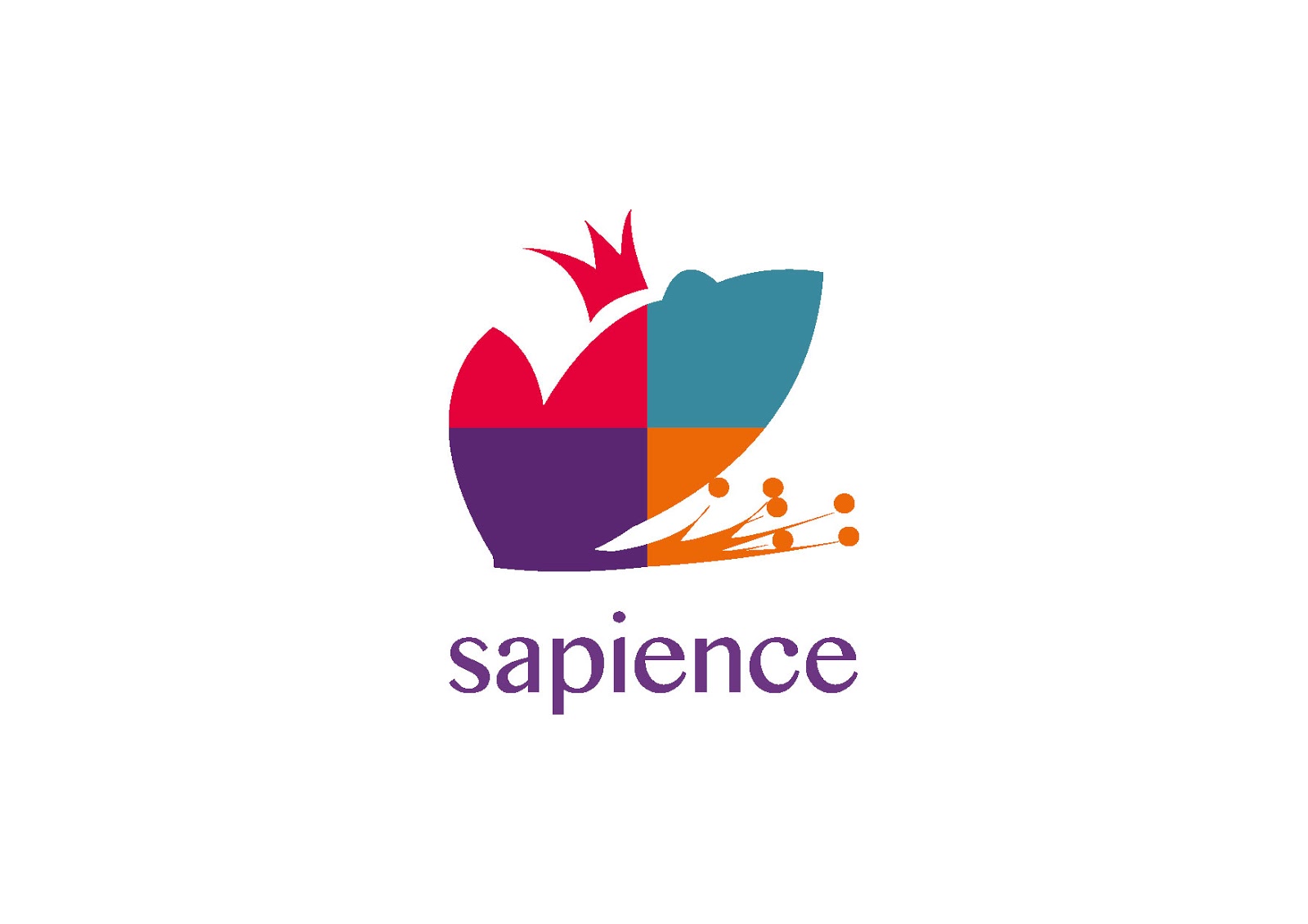 Baquara Studio: Sapience