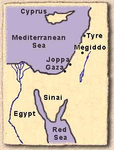 Oscar Wilde's Wallpaper