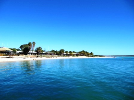 Oz360 - Tom and Amy explore Australia: CAMPSITE # 121 - Monkey Mia